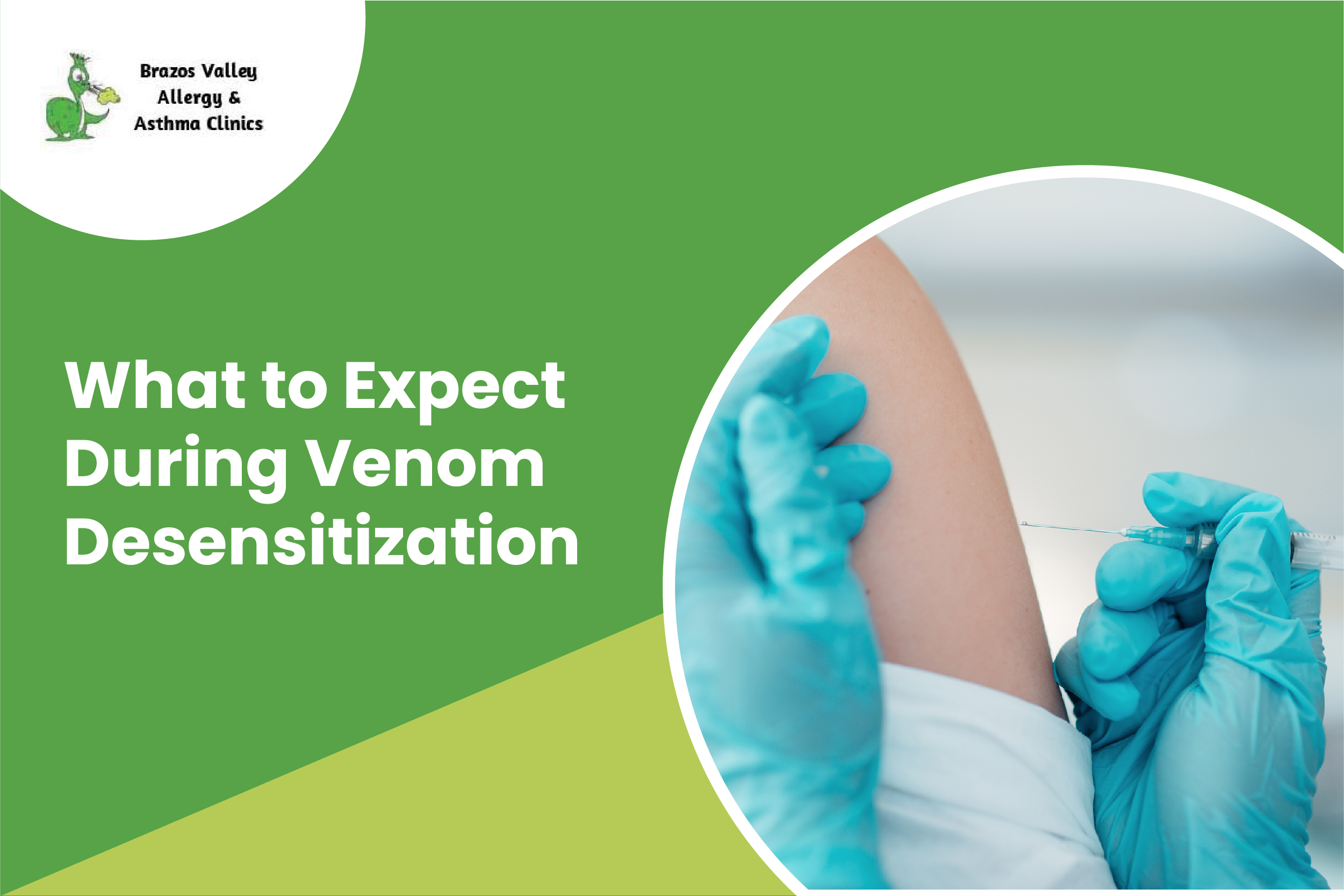 What to Expect During Venom Desensitization
